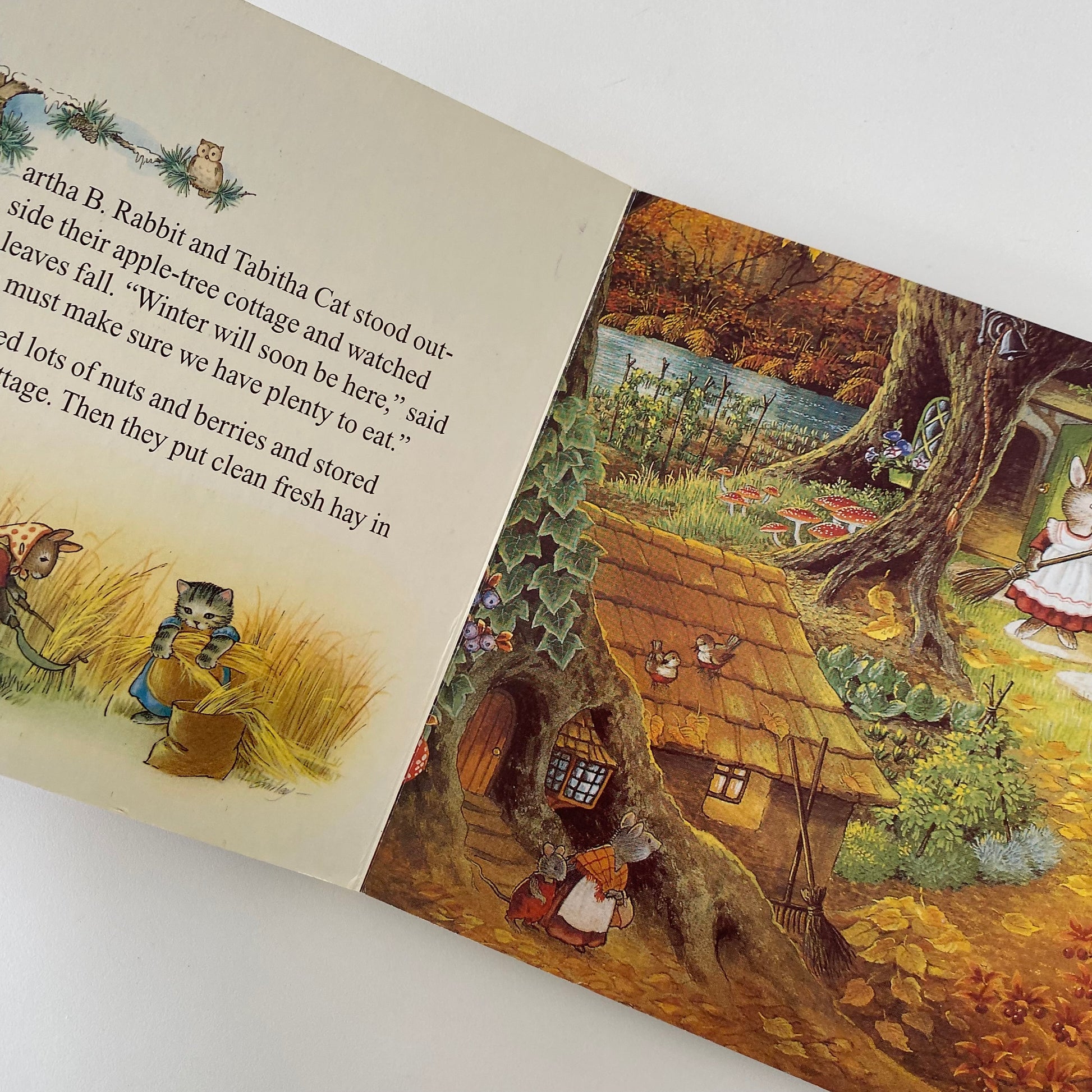 Shirley Barber Martha B Rabbit And The Unexpected Guests Thrifty Grace