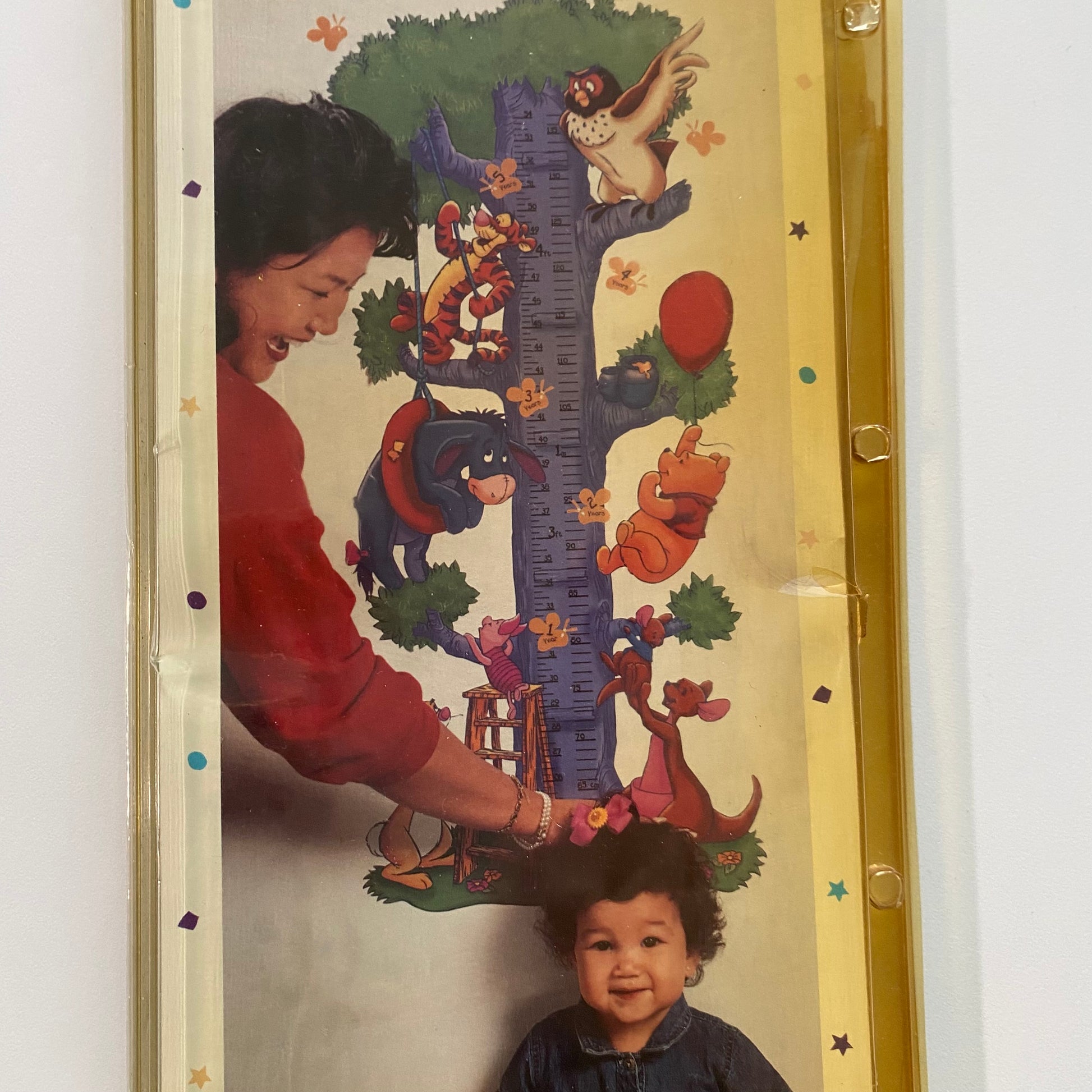 Winnie The Pooh Growth Chart (NEW) – Thrifty Grace